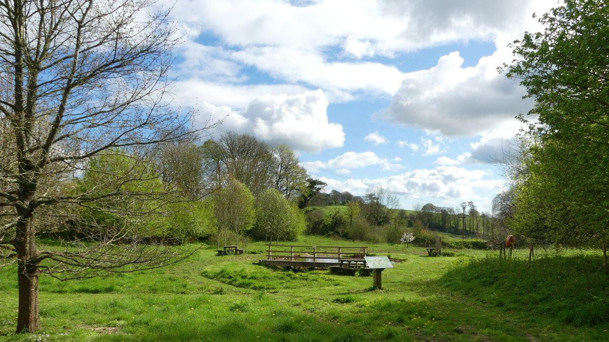 About – Charlton Down Nature Area