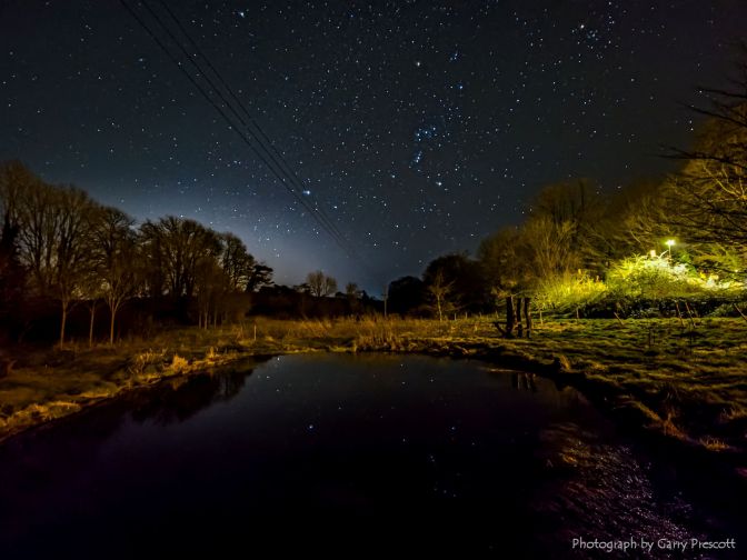 The Pond by Starlight – Charlton Down Nature Area